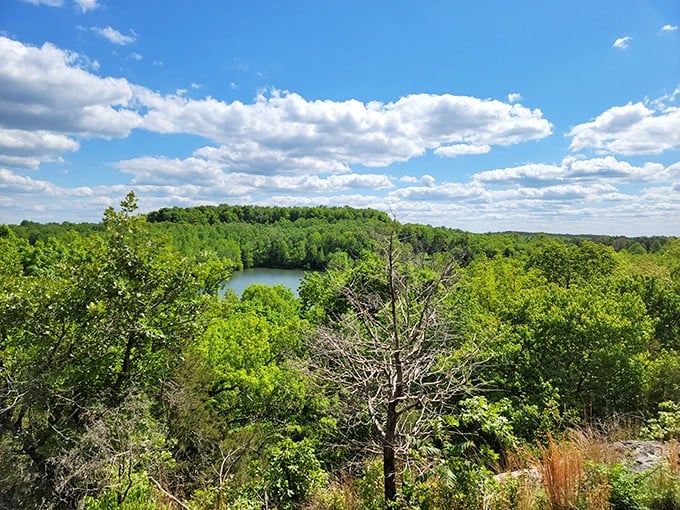 The reward for a moderate hike – panoramic views that make you question why you ever waste time scrolling through social media.