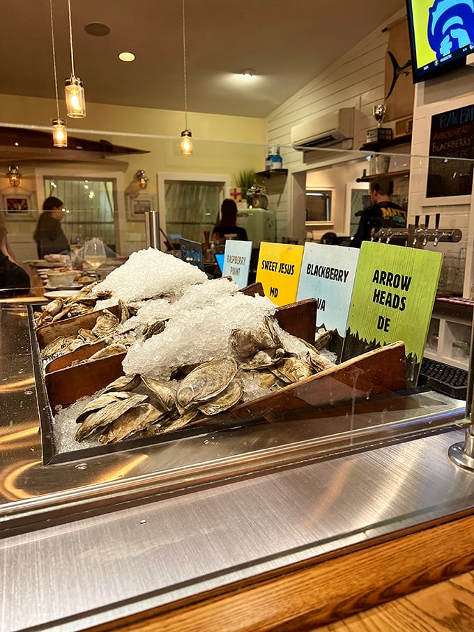 The oyster display—a glistening showcase of briny treasures labeled with the care and precision usually reserved for fine jewelry.