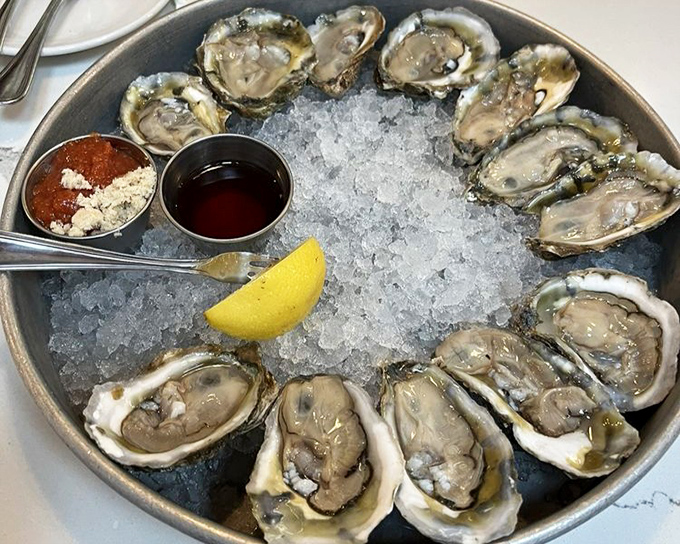 A dozen glistening oysters on ice form a perfect circle of briny bliss—nature's perfect appetizer waiting for a squeeze of lemon.