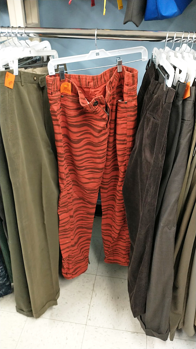 Those tiger-striped pants are either a fashion disaster or your next conversation piece. At these prices, why not find out?