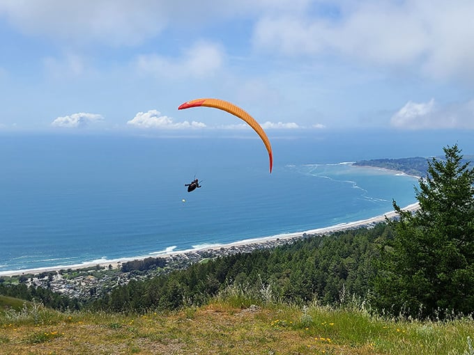 Paragliding off Mount Tam—when walking down a mountain seems too conventional and you'd rather float above the coastline like a majestic snack chip.