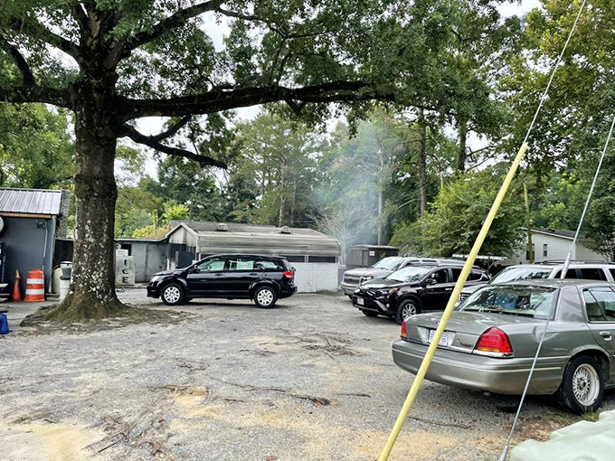 A parking lot filled with cars from every walk of life—barbecue democracy in action under the watchful gaze of Carolina pines.