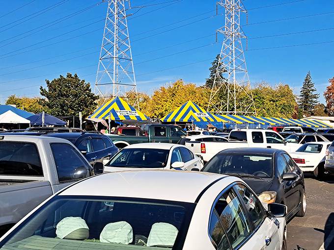 The packed parking lot tells the real story – when treasure hunters converge, even Sacramento's spacious asphalt can't contain the weekend excitement.