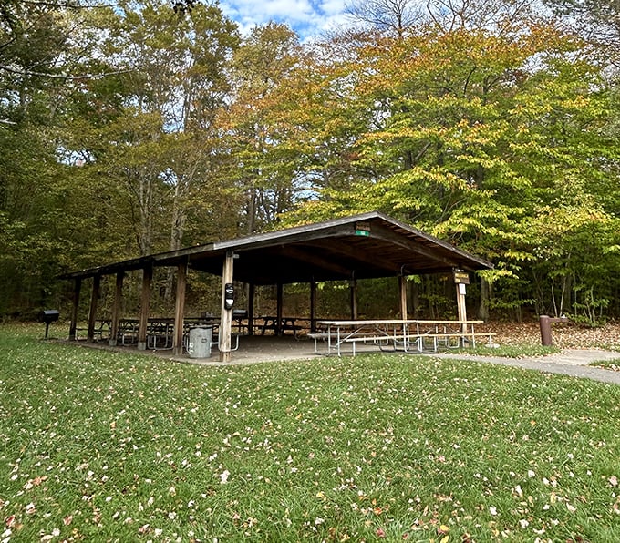 This pavilion has hosted more family reunions, birthday celebrations, and impromptu picnics than most wedding venues – and with better views.