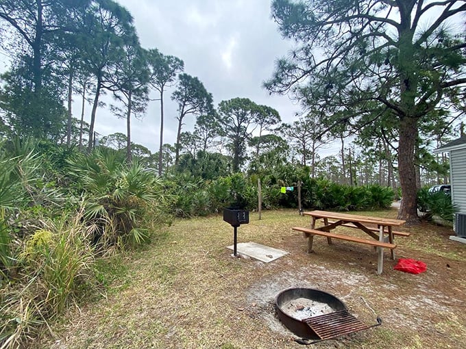 Picnic perfection awaits. This simple setup—a table, fire ring, and slice of Florida wilderness—beats any five-star restaurant view in my book.