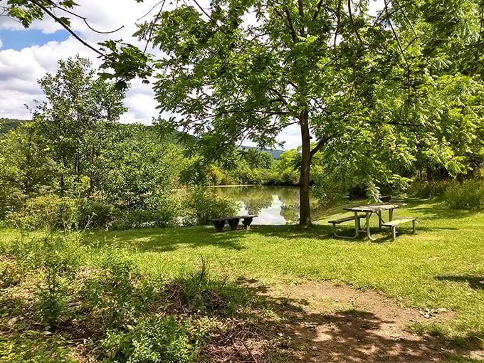 Lakeside picnic tables offer dining with a view that puts even the fanciest restaurant patios to shame—and you'll never need a reservation.
