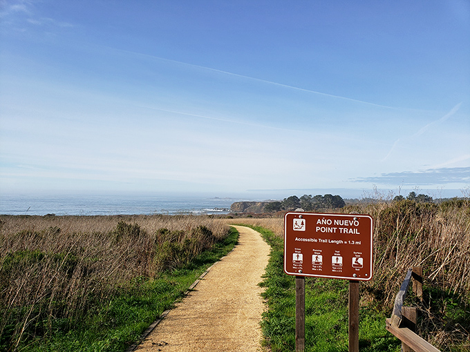 A trail that whispers promises of discovery, with every bend offering a new postcard-worthy view of the Pacific.