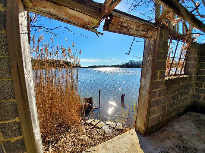 A window to the past frames the present – this crumbling structure offers a portal to both history and natural beauty.