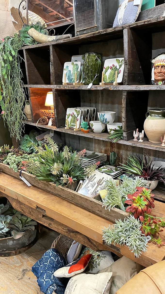 Desert meets décor in this succulent-filled display where cacti-adorned pottery celebrates Arizona's natural beauty in functional art form.