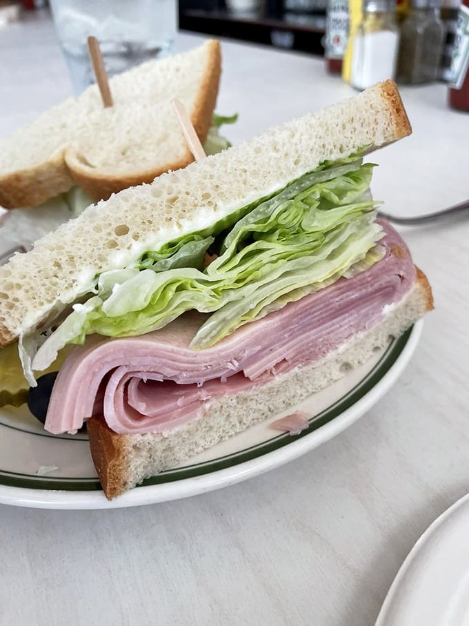 The ham sandwich—architectural perfection between two slices of bread. That stack of meat isn't just lunch, it's a commitment to excellence.