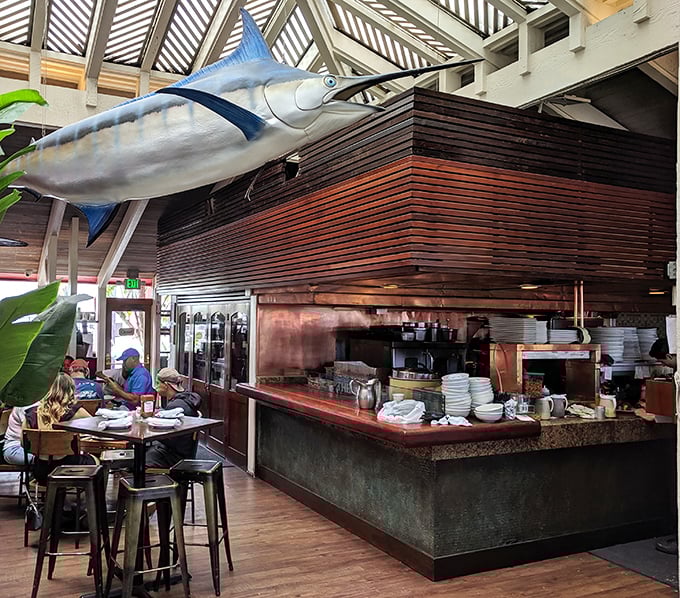 Where the magic happens – watch as your seafood transforms from ocean-fresh to plate-perfect under the watchful eye of a marlin.