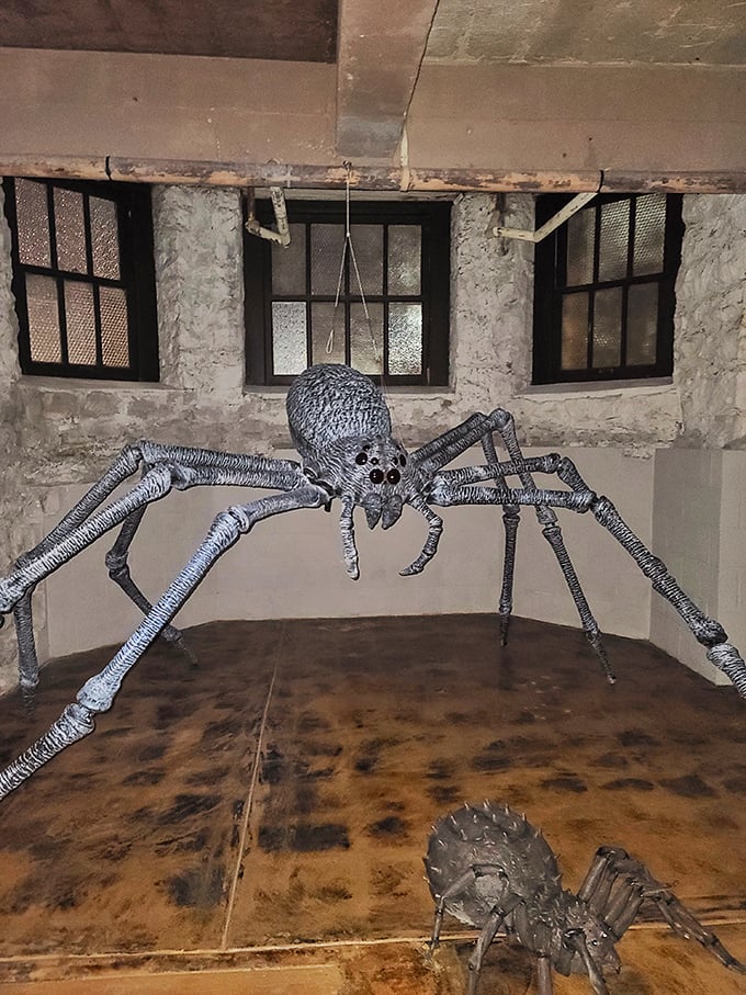 Arachnophobes beware! This giant spider installation in the dungeon area ensures visitors leave with memorable—if slightly unsettling—impressions.
