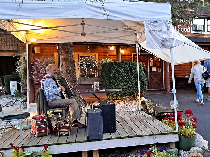 Outdoor entertainment that transports you straight to a Bavarian village festival. That accordion isn't just playing music—it's playing your heartstrings.