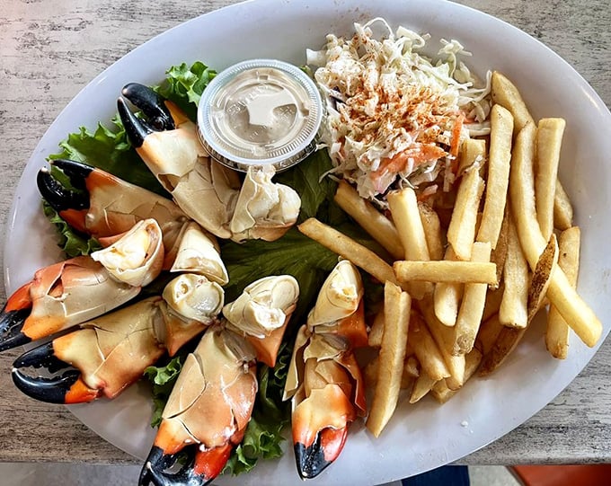 Stone crab claws – Florida's seasonal treasure served without pretense. Nature's perfect design: sweet meat, ready-made handles, and a side of simple slaw.