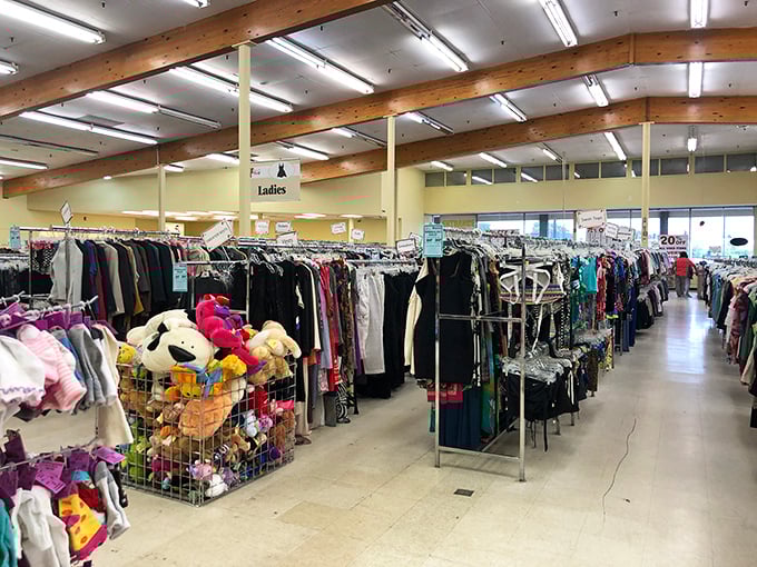 A sea of garments organized with surprising precision. That stuffed animal bin is like a retirement community for once-beloved toys.