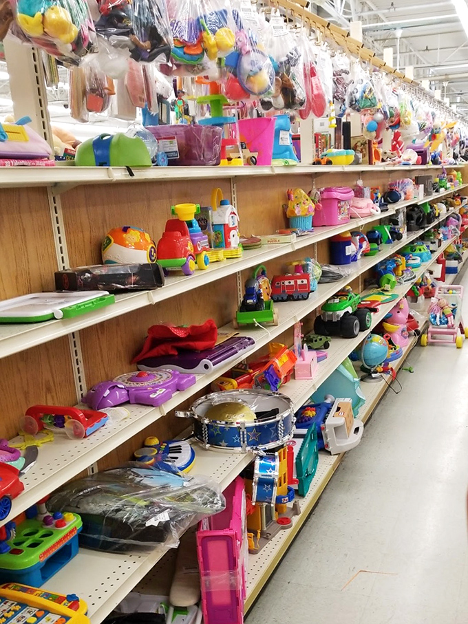 Toy paradise where childhood dreams get recycled. From plastic dinosaurs to musical instruments—imagination finds affordable fuel here.