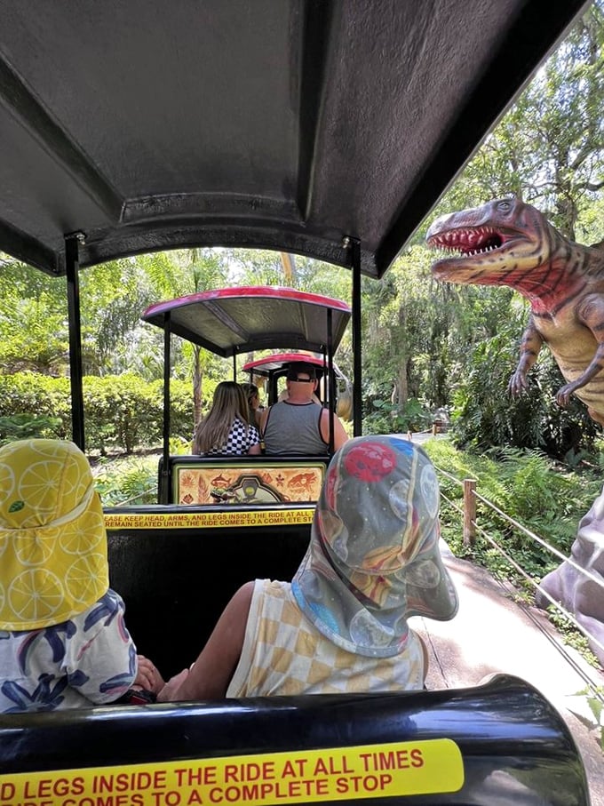 The safari train: where you can experience all the thrills of Jurassic Park with none of the running for your life. Safety first!