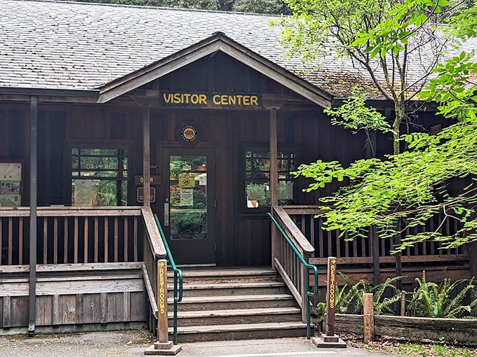 The visitor center—where your redwood education begins. Inside: exhibits that will make you say "I had no idea trees were so fascinating!"