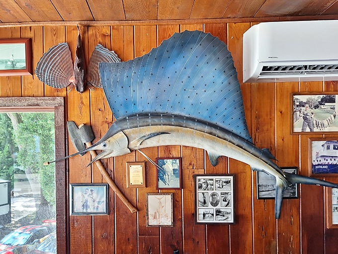 Not just decoration—this sailfish is the patron saint of seafood restaurants everywhere, silently blessing your meal choices from above.