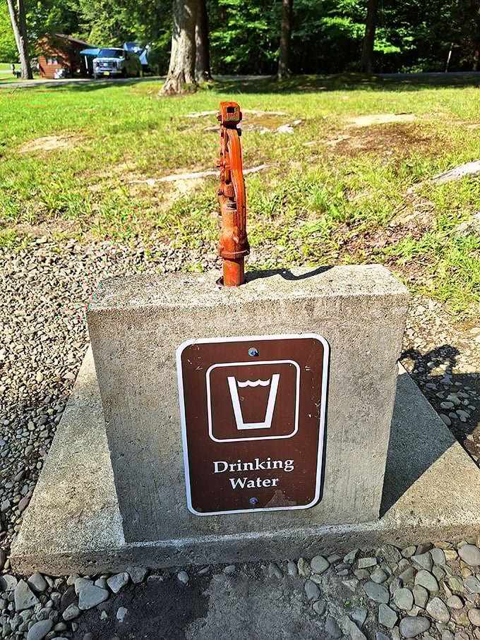 The humble water pump – quenching thirsts since before bottled water was fashionable. One pump delivers more refreshment than any energy drink ever could.