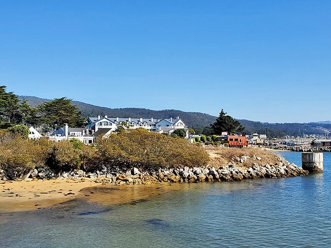 Half Moon Bay tucked between mountains and sea like nature's best-kept secret.