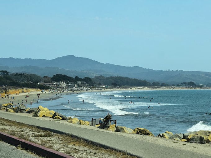 The kind of beach that makes you forget Silicon Valley is just over those hills.
