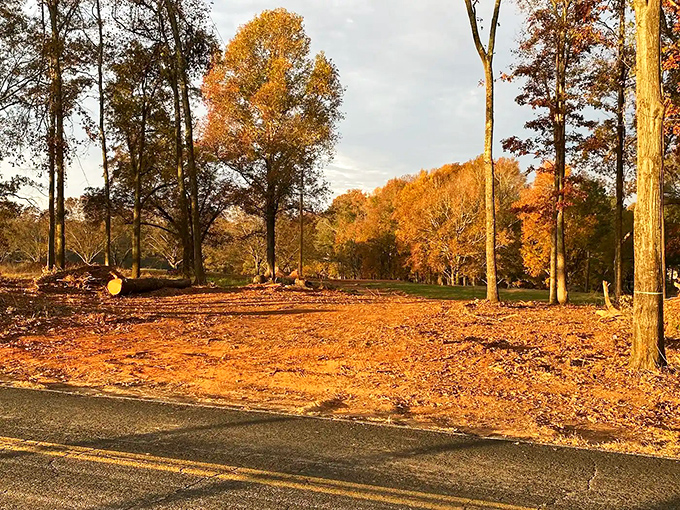 Fall arrives here like it's auditioning for a calendar photo shoot—and nailing it every time.