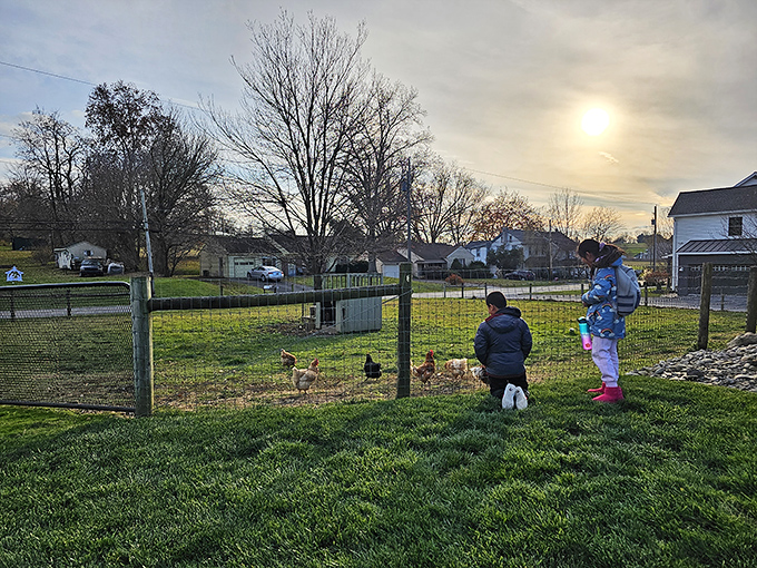 As dusk settles over Paradise farms, there's a tranquility that city dwellers pay good money to experience on weekend retreats.