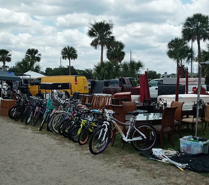Bicycle battalion meets dining room diplomacy – transportation and furniture options for every budget line this vendor's eclectic corner.