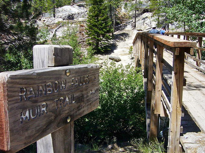 Trail bridges connect more than paths – they link adventurers to experiences worth remembering forever.
