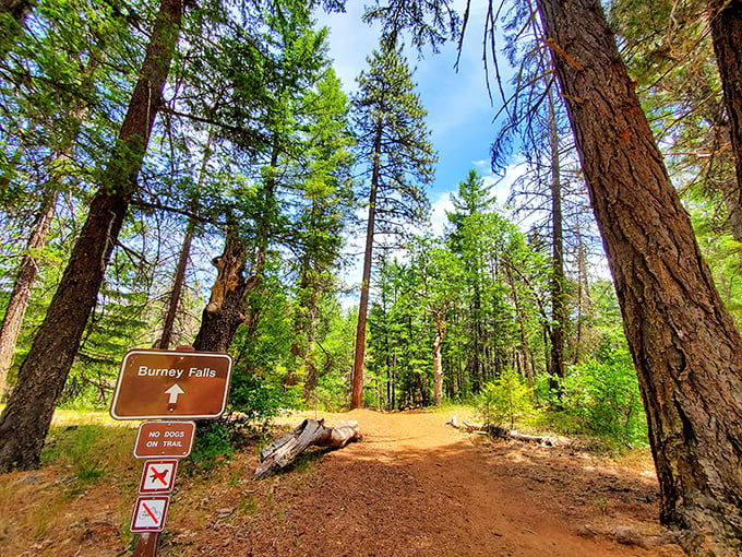 The well-maintained trail welcomes hikers of all abilities to witness this geological masterpiece firsthand.