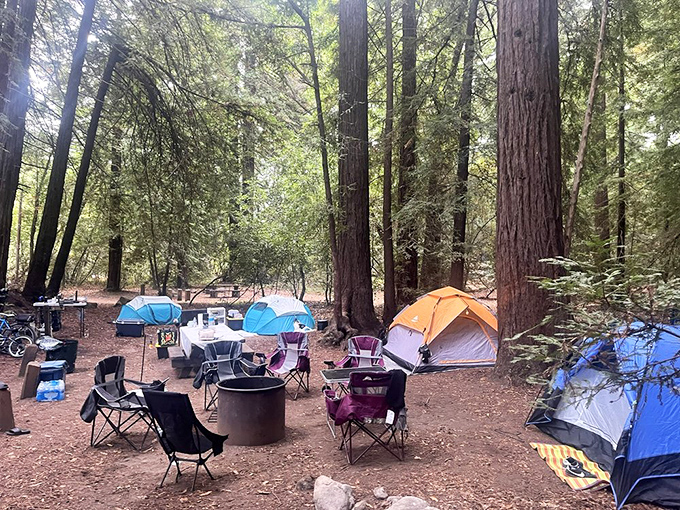 Camping among the redwoods—where snores echo against trees older than your country. These colorful tents look like confetti scattered by giants celebrating Earth's birthday.