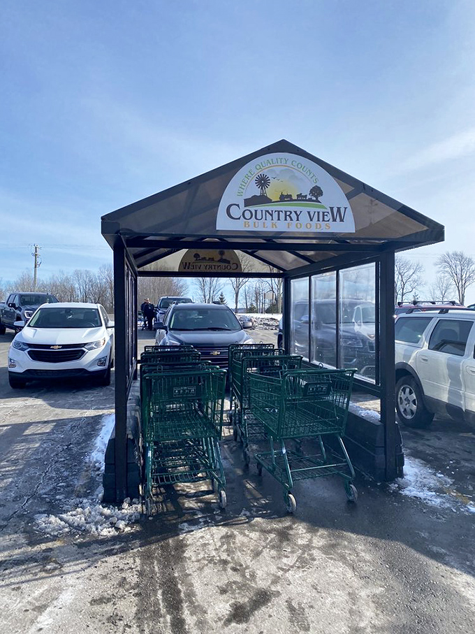 Shopping carts at the ready, prepared to haul your finds like treasure from a delicious excavation.