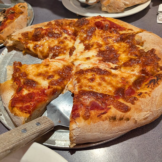 The cheese pizza in its purest form—a canvas of molten perfection. Sometimes the simplest things truly are the most extraordinary.
