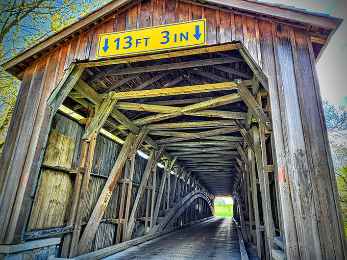 Peer into the bridge's wooden skeleton and you'll see what our ancestors knew—that beauty and function aren't opposing forces but perfect partners.
