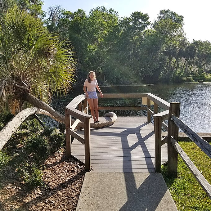 Nature's observation deck – where palm trees bend impossibly over crystal waters, practically begging to be your next profile picture backdrop.