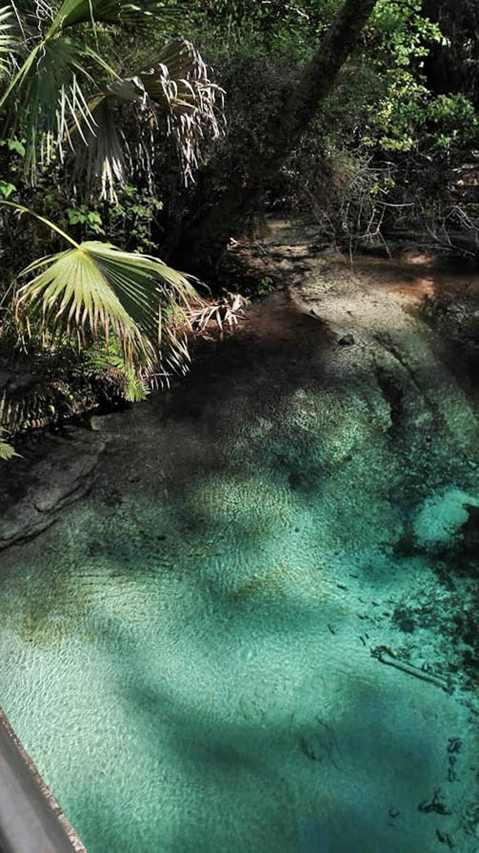 It's not Photoshop, it's just Mother Nature showing off again—with a little help from the Florida sun.