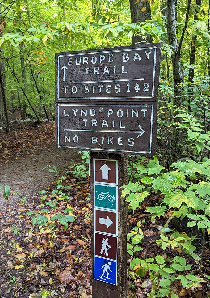 Trail markers: civilization's gentle reminder that even in wilderness, you're not completely on your own—unless you want to be.