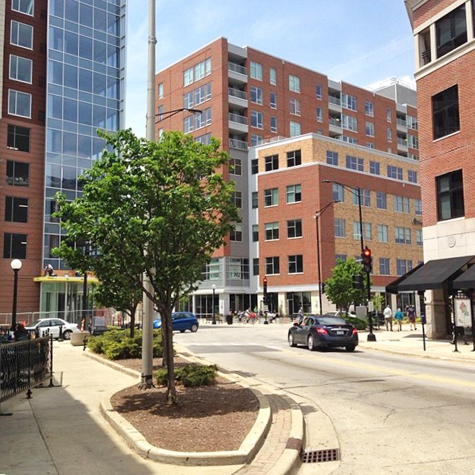 Urban planning done right – where trees soften concrete edges and pedestrians remember they're the stars of this city show.