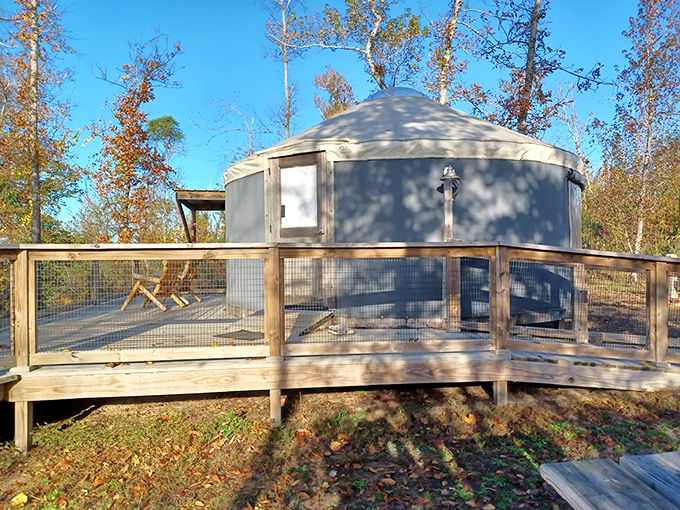 The yurt life chose this spot – part glamping, part architectural conversation piece, all memorable overnight adventure.