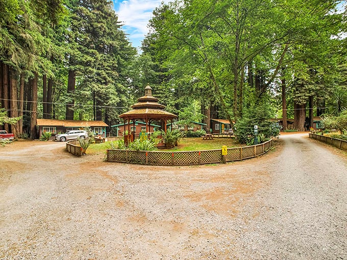 Emerald Forest's towering redwoods create a natural sanctuary just minutes from Trinidad's spectacular ocean views.