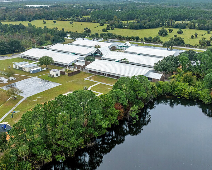 Local schools anchor the community, proving Titusville isn't just for retirees – families flourish here too.