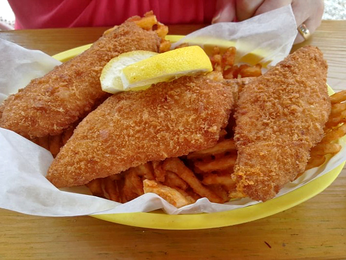 Fish and chips with a golden crust that shatters at first bite. That lemon wedge isn't just garnish—it's the perfect finishing touch.