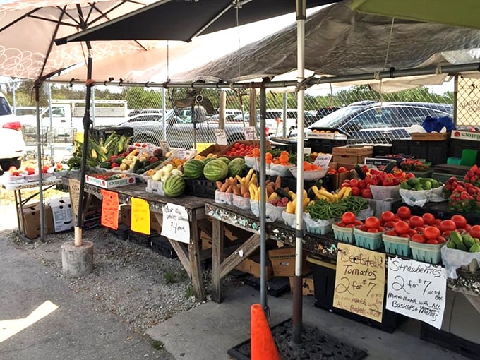 Farm-fresh Florida bounty that puts supermarket produce to shame. Tomatoes that actually taste like tomatoes—imagine that!