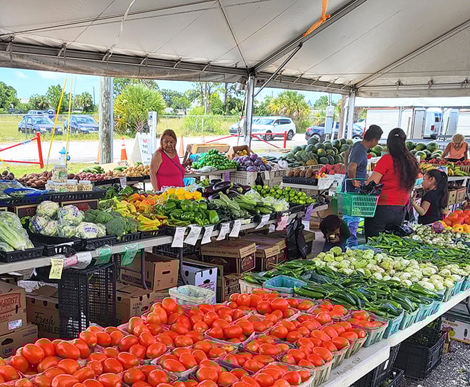 Farm-fresh produce that makes grocery store vegetables look like sad, distant relatives. Those tomatoes haven't known refrigeration—only sunshine and careful hands.
