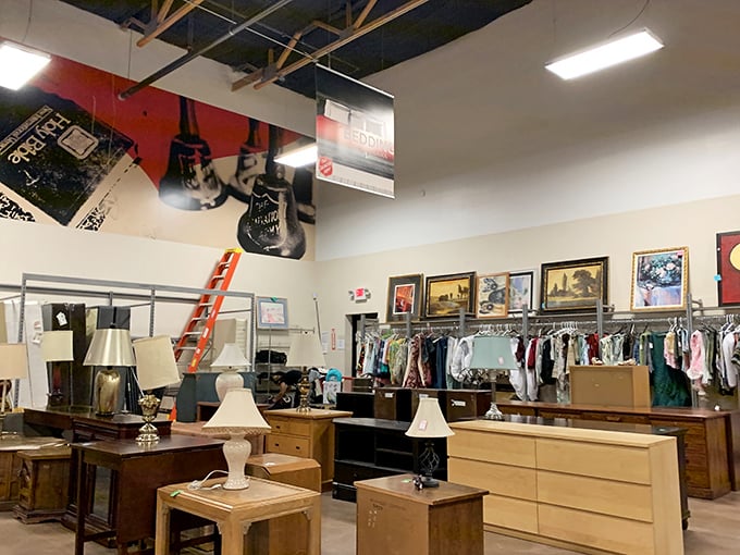 The furniture frontier meets wardrobe wonderland. That ladder isn't for climbing – it's for reaching new heights of thrifting excellence.