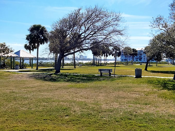 Halifax Harbor Park delivers tranquility with a side of vitamin D. The perfect spot to finish that novel you've been reading for three months.