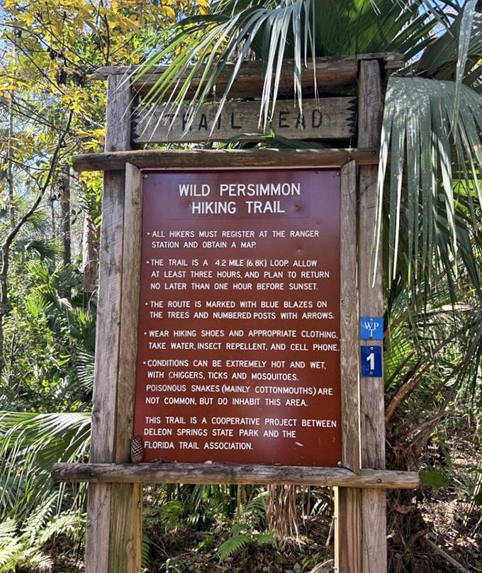 Choose your own adventure: easy stroll or cardio challenge – both lead to bragging rights and better Instagram photos.