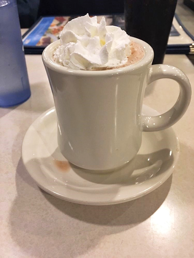 Hot chocolate topped with a cloud of whipped cream—winter's perfect antidote served in an unpretentious mug.