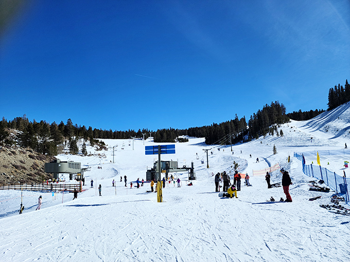 Blue skies, white slopes, and zero pretension—June Mountain might be California's best-kept secret for powder enthusiasts and families alike.